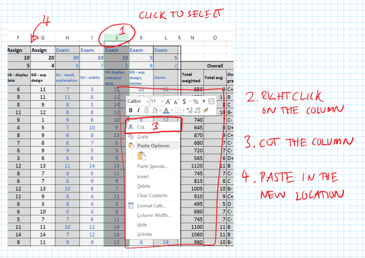Storing and making sense of grades – Excel to the rescue – Education ...