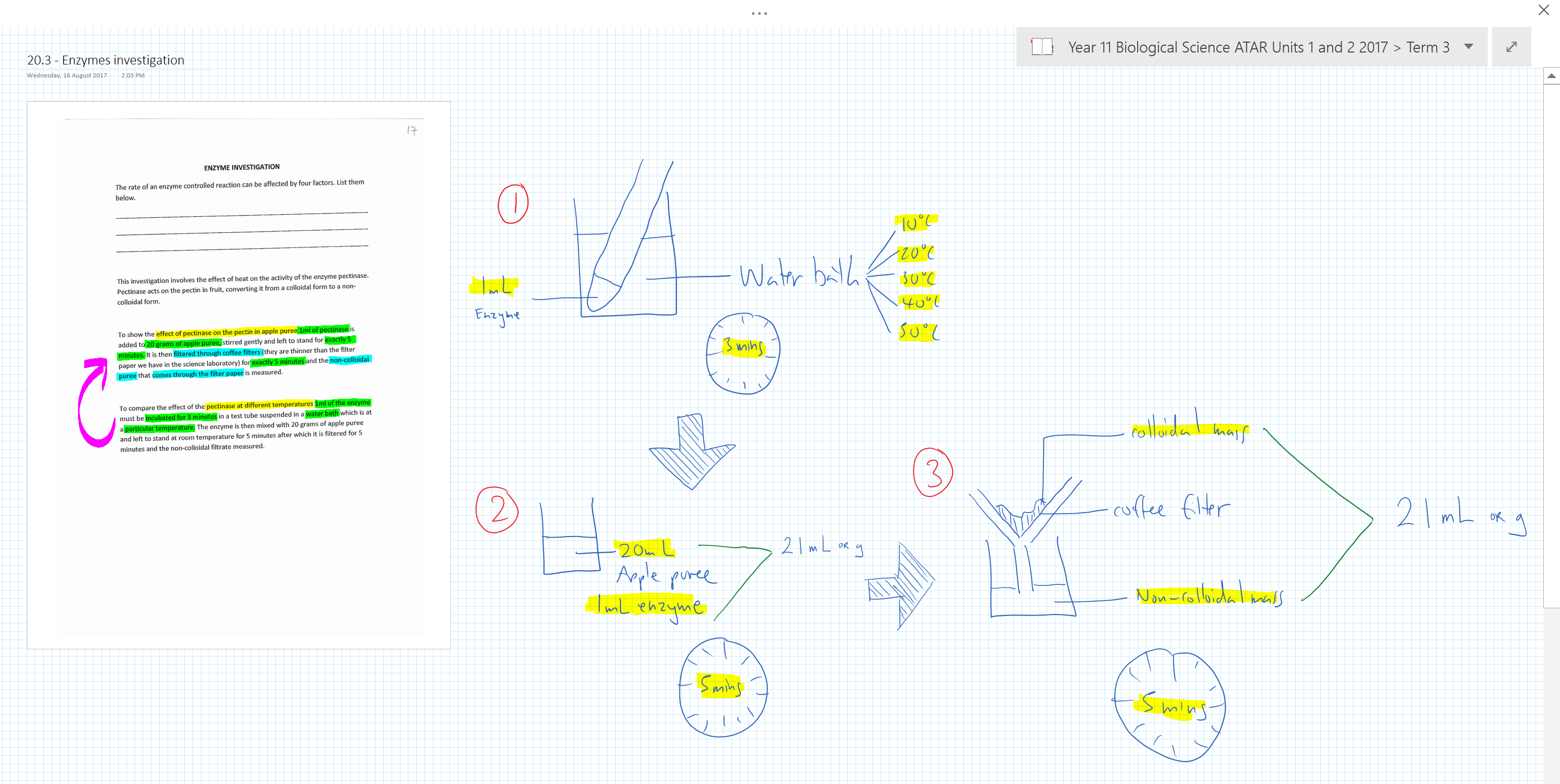 Highlighting and drawing – clear understanding – Education with a stylus